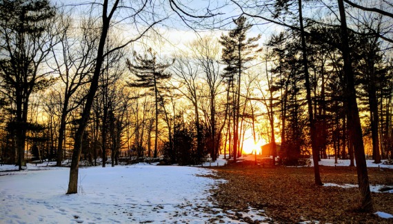 About Life Coaching | Michele Caron